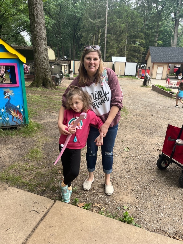 Live Feed | Dundee Community Schools